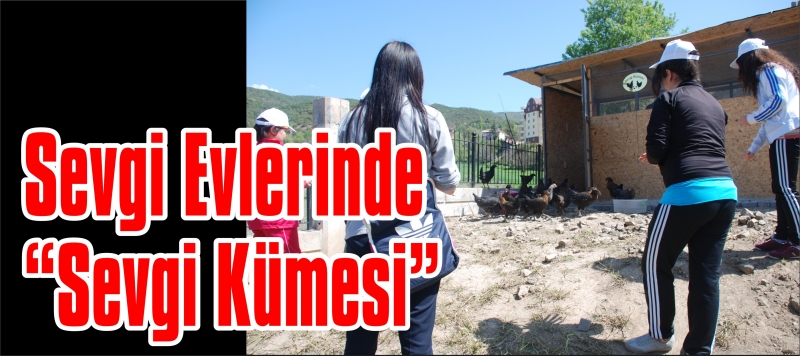 Sevgi Evlerinde “Sevgi Kümesi” - EĞİTİM - Niksar Danişmend Gazetesi